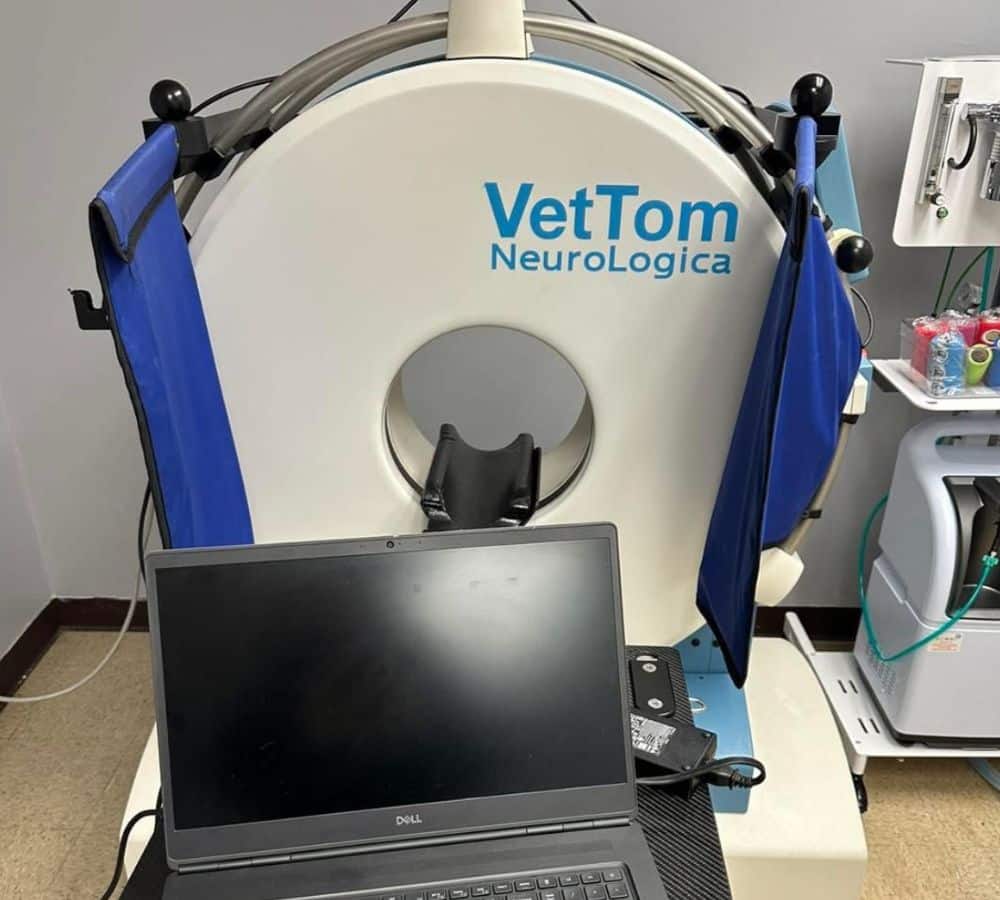 Pet CT Scan In Madisonville, KY | Pennyrile Animal Clinic